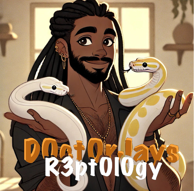 Beginner’s Guide to Identifying & Treating Scale Rot in Ball Pythons ...